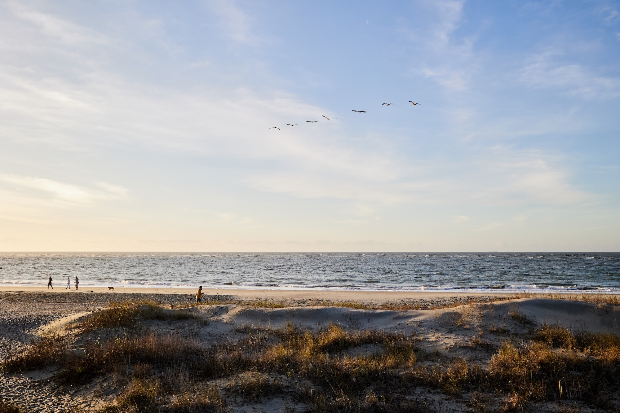 Our Resort | South Carolina Beach Resort | Wild Dunes Resort | Wild Dunes